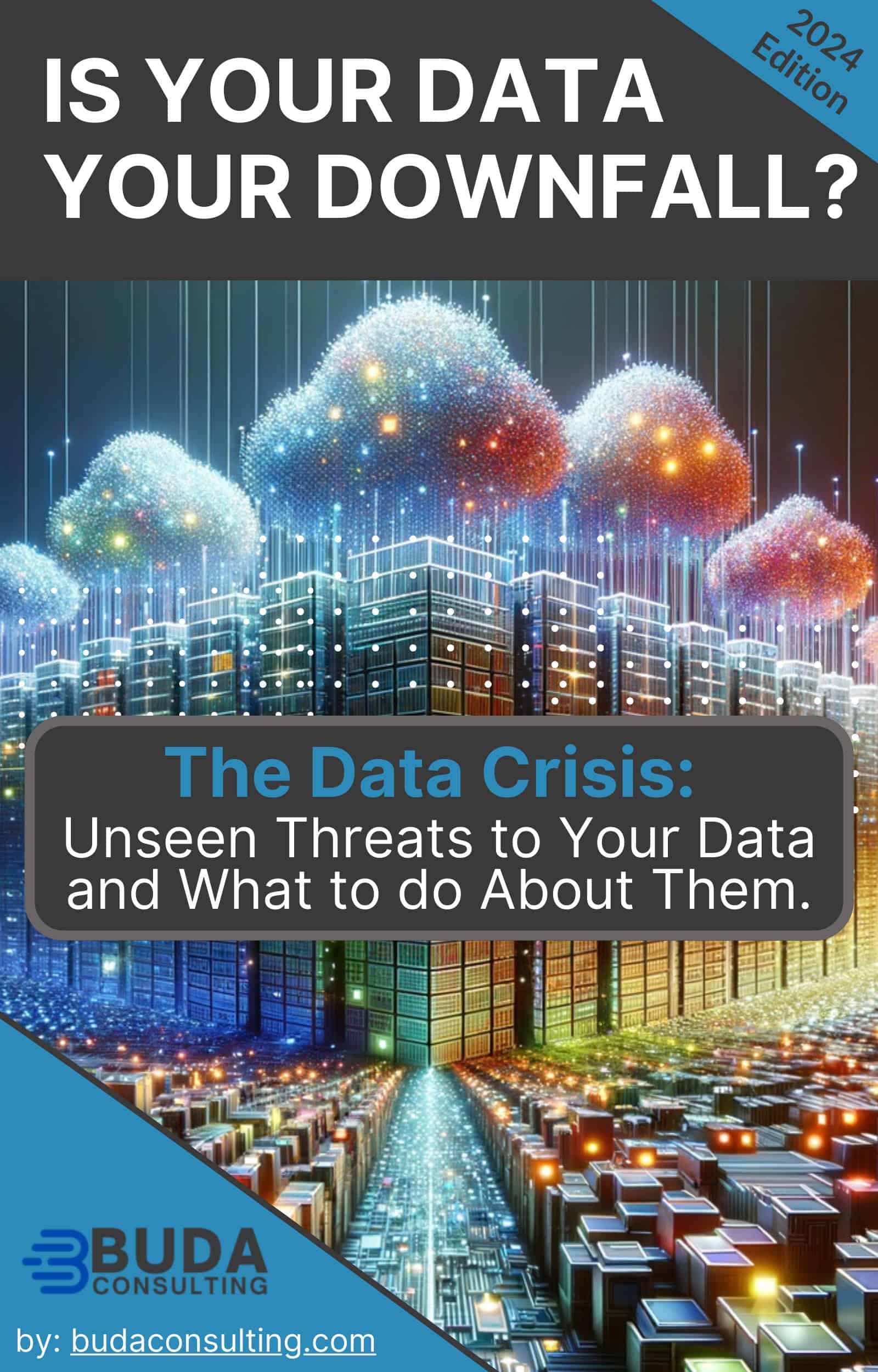 Is Your Data Your Downfall - Buda Consulting